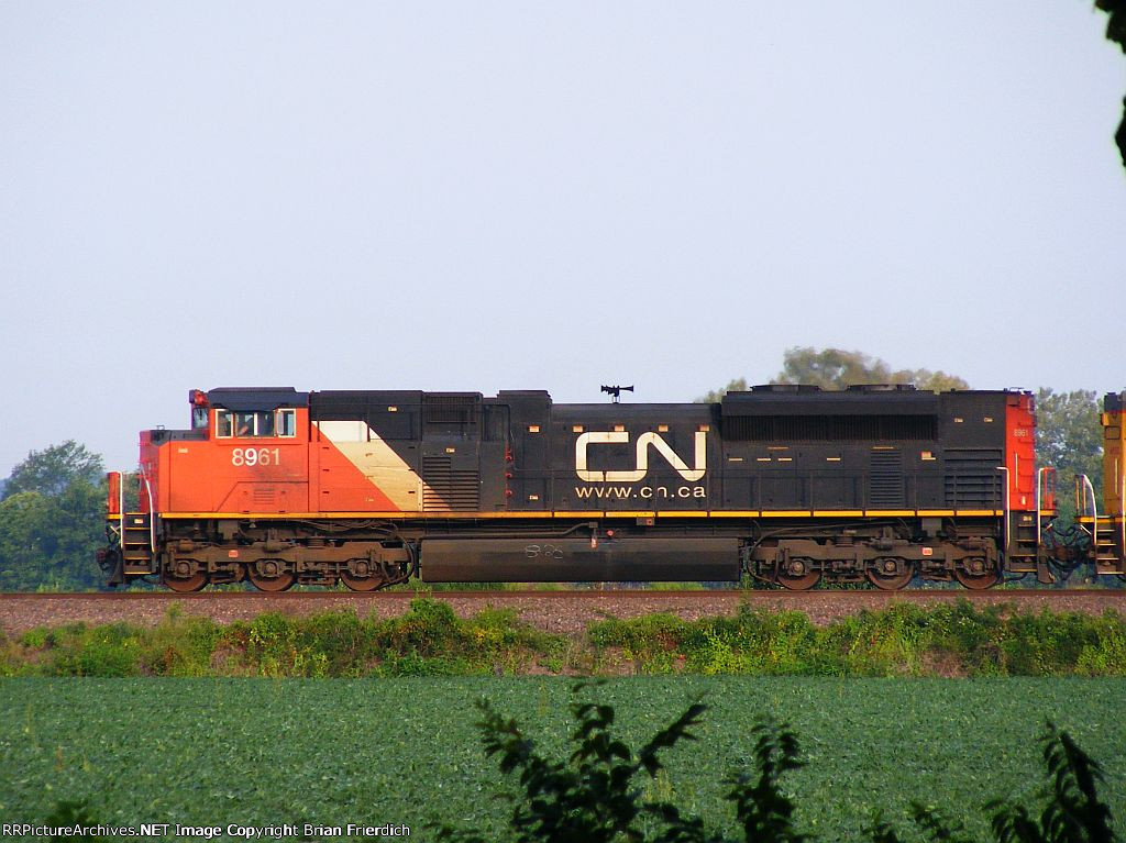 CN 8961
